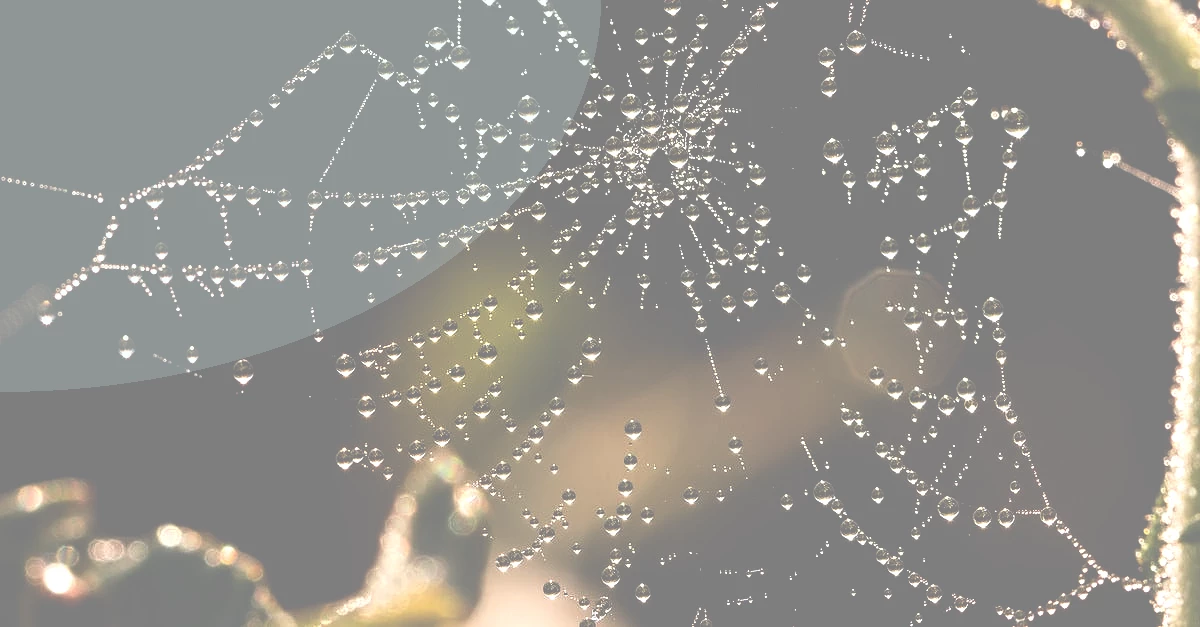 Implementing Secure User Authentication in Python Web Applications - Web Dev Byte